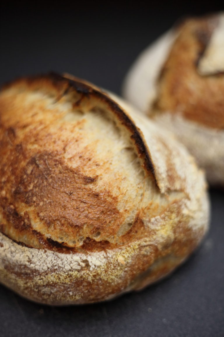 L’aventure du Levain de fruits | Floured : Faire son pain maison au levain